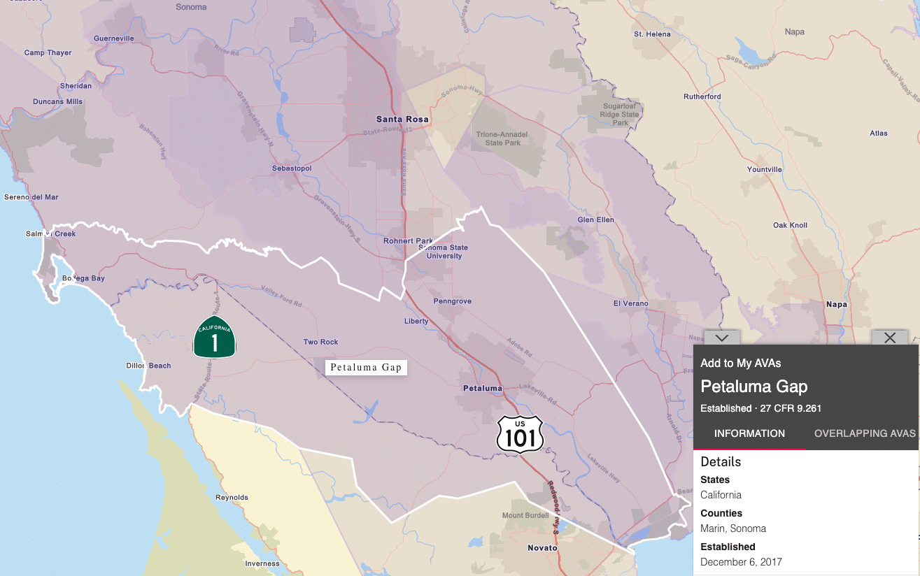 Wine Tasting Near Bodega Bay: Top 8 Wineries Near Bodega Bay